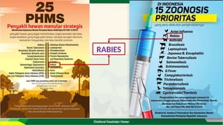 Penanganan rabies pada hewan sebagai implementasi one health dalam ...