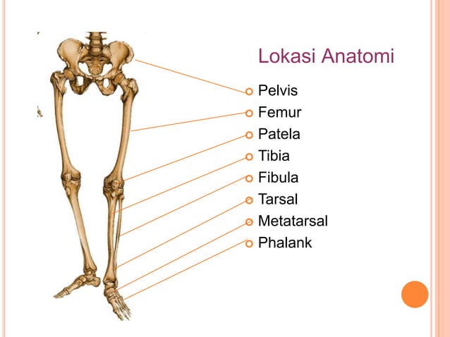 Penanganan terkini patah tulang terbuka (open fracture) | PPTX