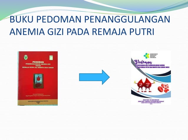 Penanggulangan_Anemia_Gizi_Besi_pada_Rematri_edit.ppt
