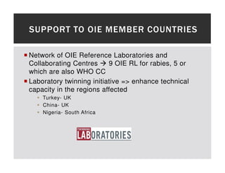 One health approaches for rabies control | PPT