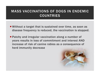 One health approaches for rabies control | PPT