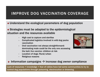 One health approaches for rabies control | PPT