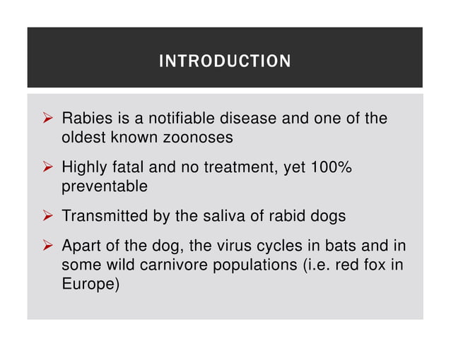 One health approaches for rabies control | PDF