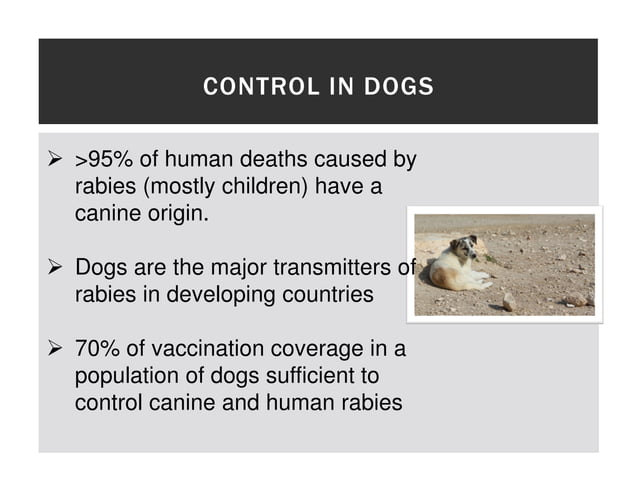 One health approaches for rabies control | PDF