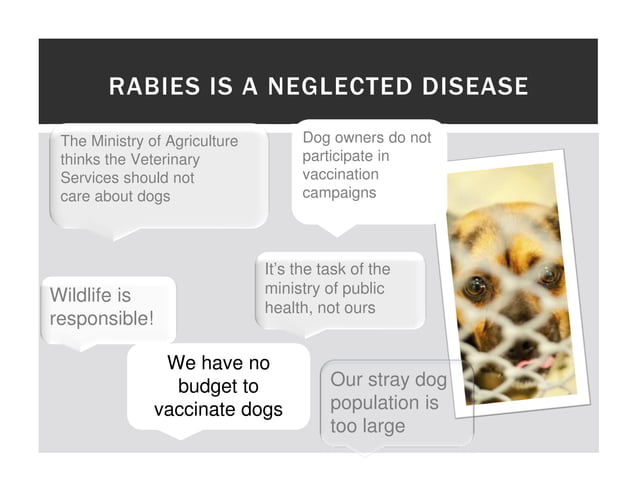 One health approaches for rabies control | PDF