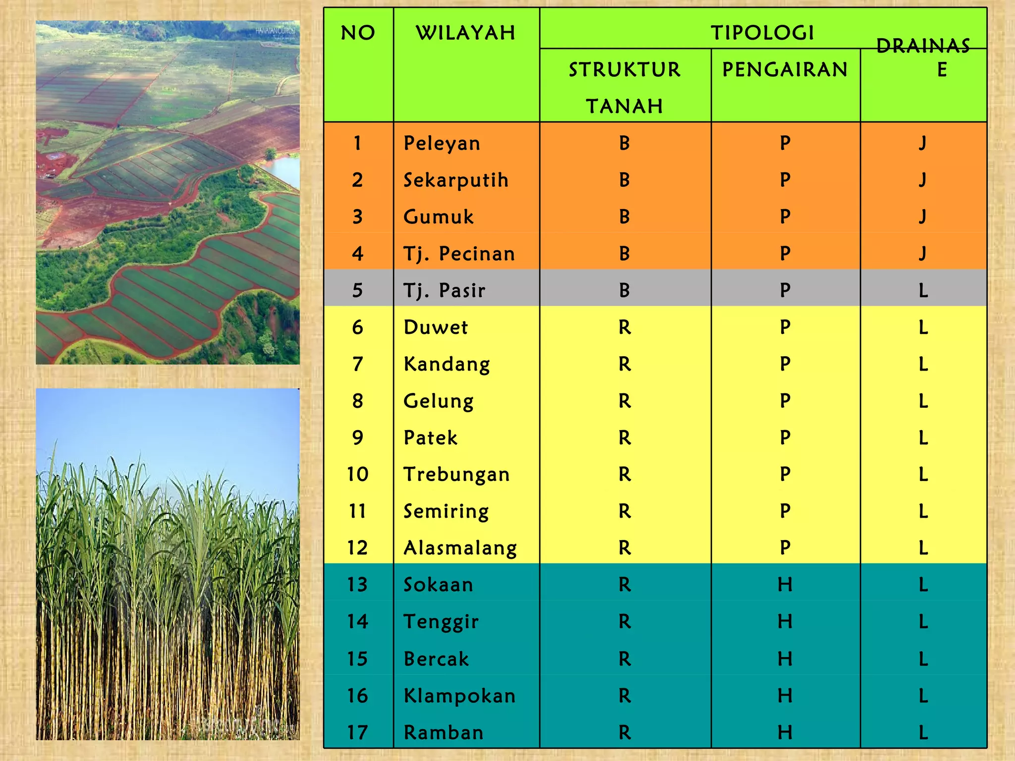 Penataan varietas | PPT