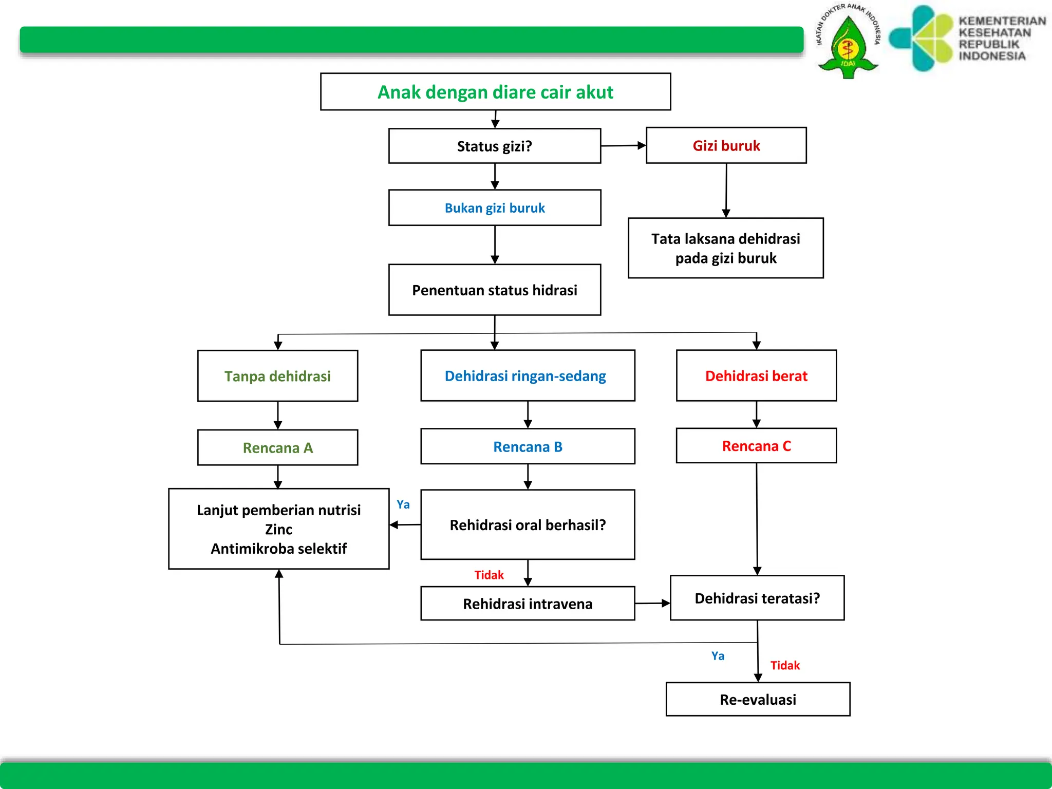 Penatalaksanaan Diare Cair Akut anak.pptx