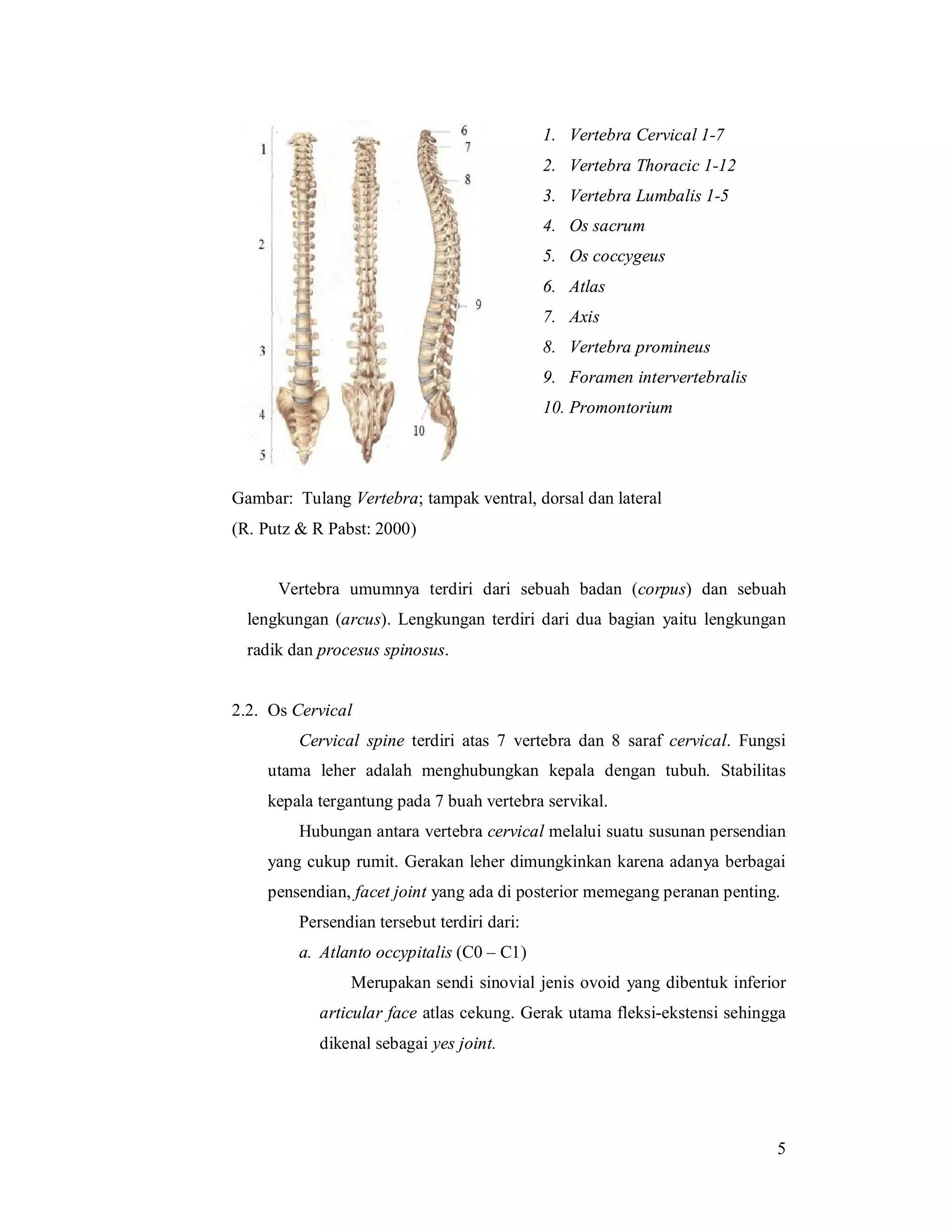 Penatalaksanaan fisioterapi pada kasus brakhialgia ec spondiloarthrosis ...