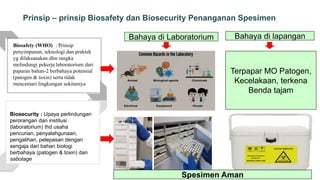 Penatalaksanaan Legionella.pdf