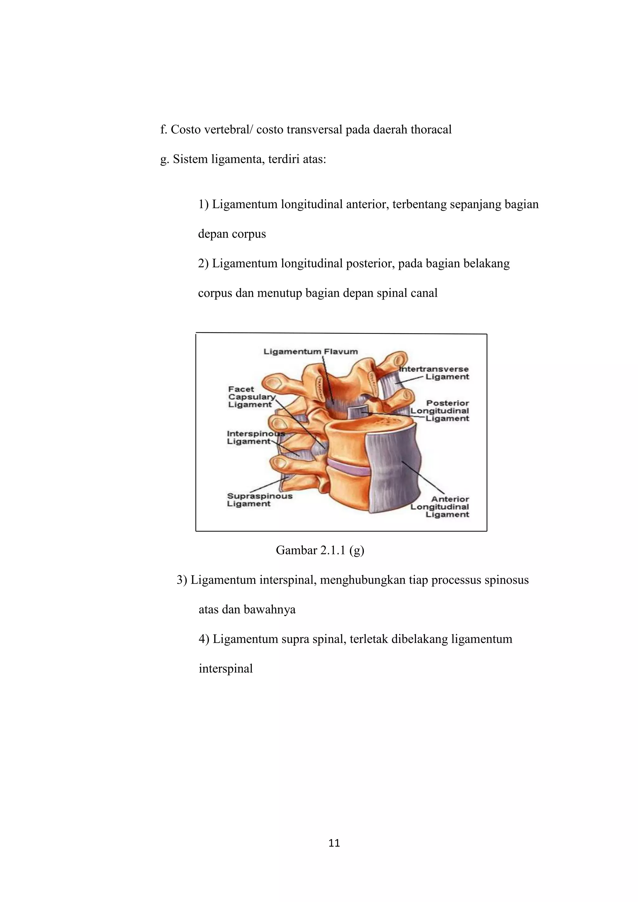 Penatalaksanaan radiografi vertebrae thoracolumbal dengan klinis ...