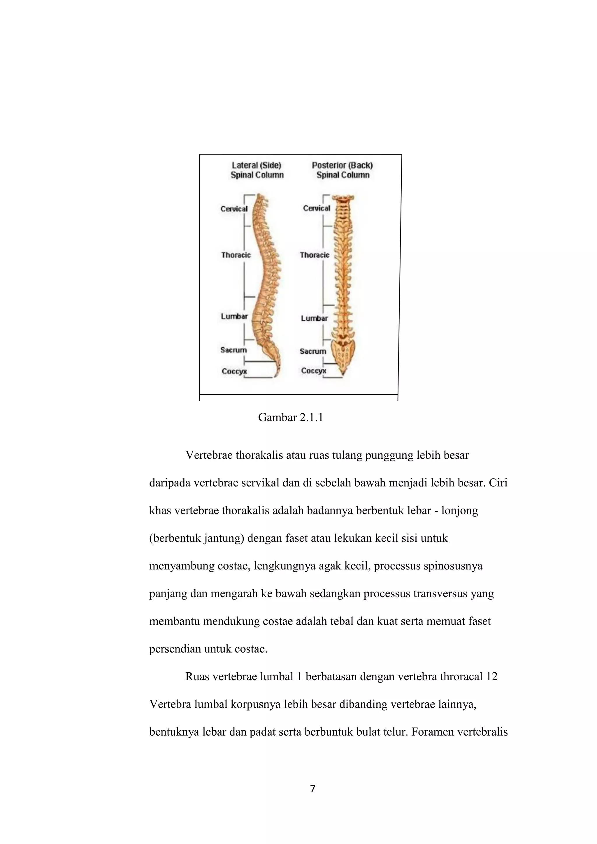 Penatalaksanaan radiografi vertebrae thoracolumbal dengan klinis ...