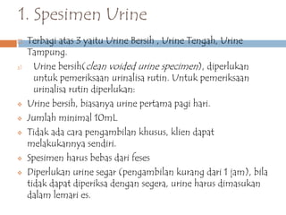 Penatalaksanaan spesimen | PPTX