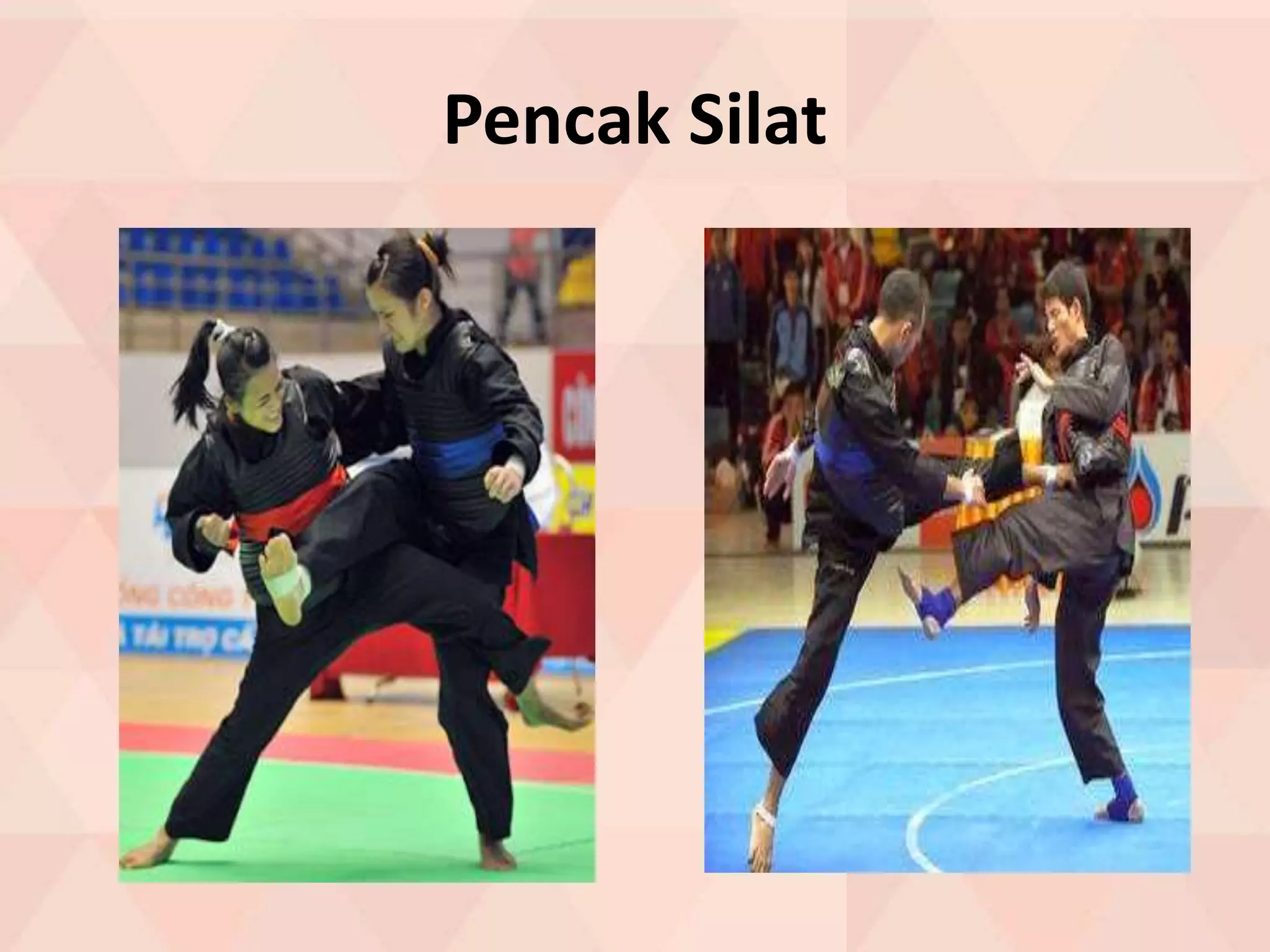 PENCAK SILAT | PPTX