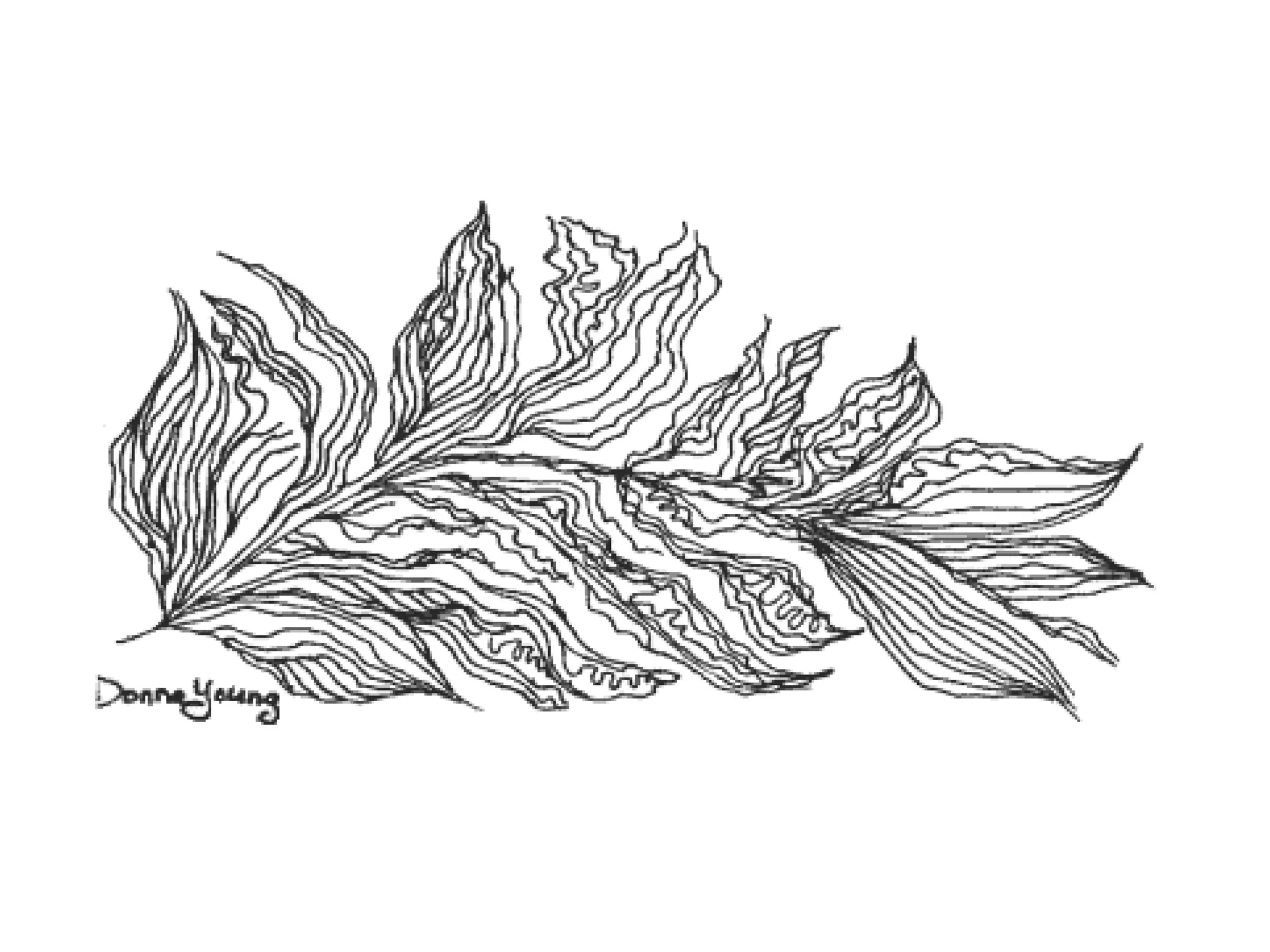 Calligraphic line drawing #1 | PPT