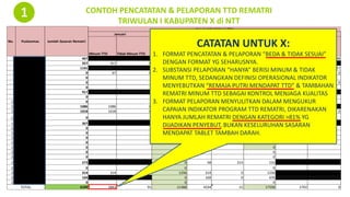 pencatatan pelaporan TTD rematri_NTT vidi umbu 2.pptx