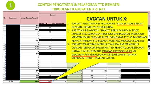pencatatan pelaporan TTD rematri_NTT vidi umbu 2.pptx