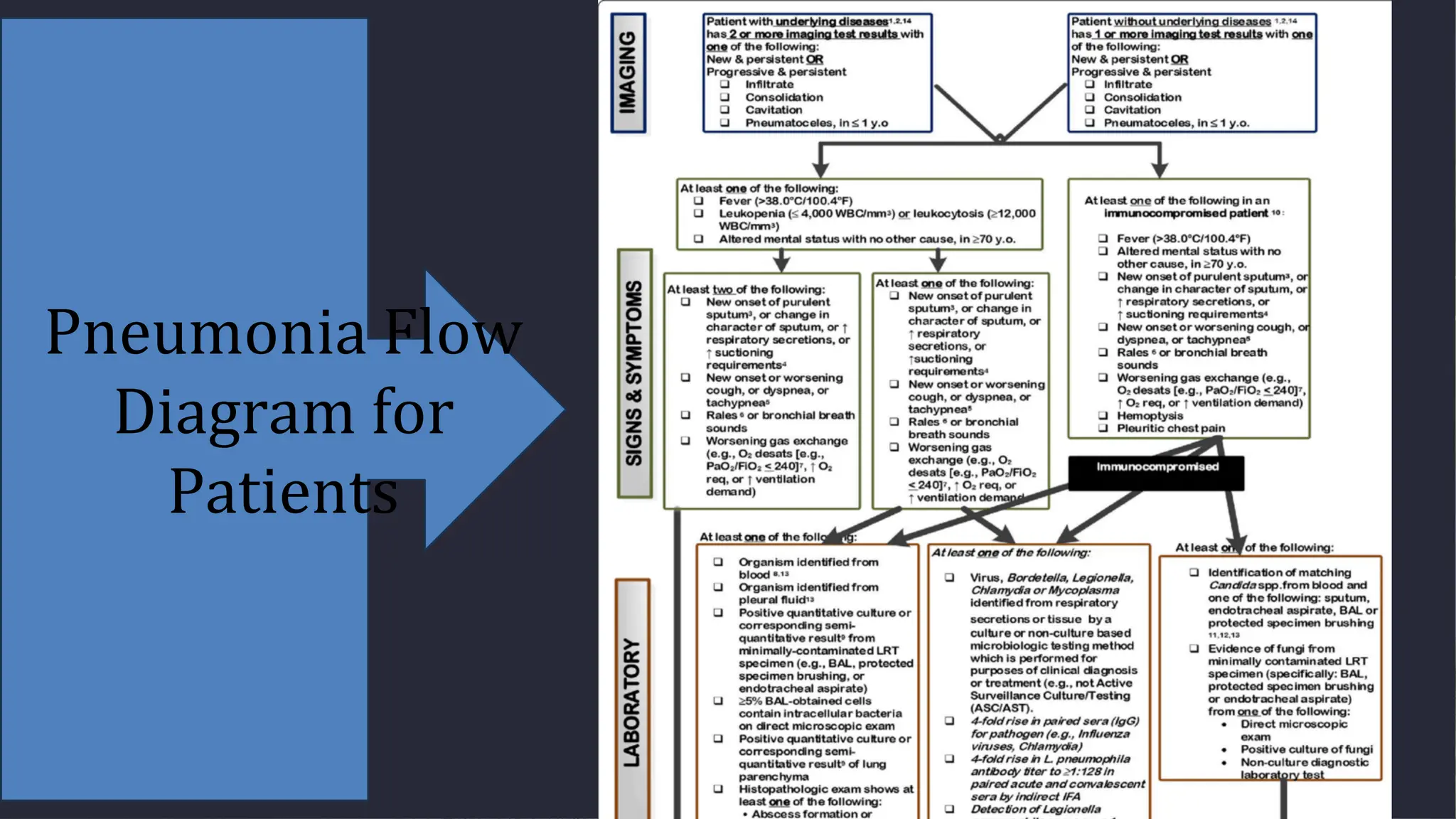 Pencegahan Dan Pengendalian Infeksi Dengan Penerapan Bundles Hais.pdf