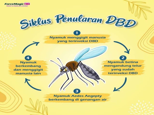DBD PSN PENCEGAHAN NYAMUK DEMAM BERDARAH | PPTX
