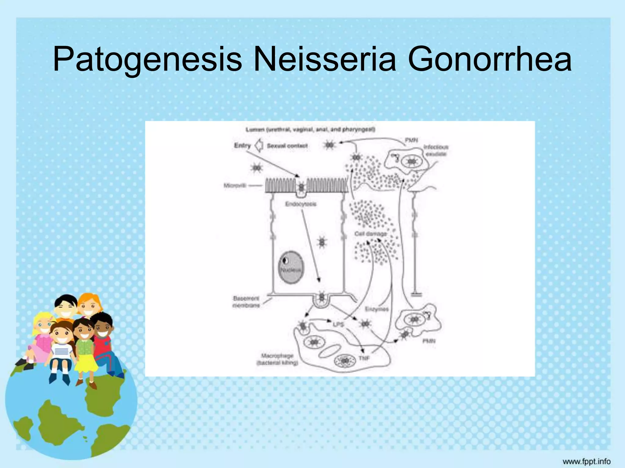 Pencegahan IMS Bayi.ppt