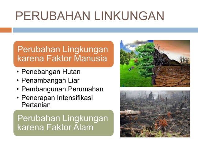 Pencemaran dan perubahan lingkungan | PPTX