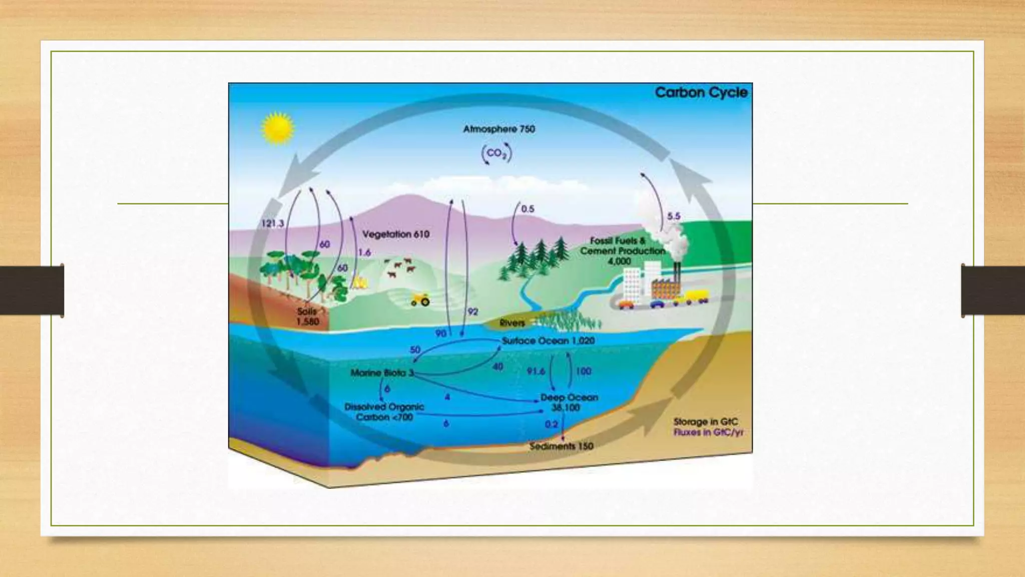 Pencemaran lingkungan sebagai gangguan daur biogeokimia | PPTX