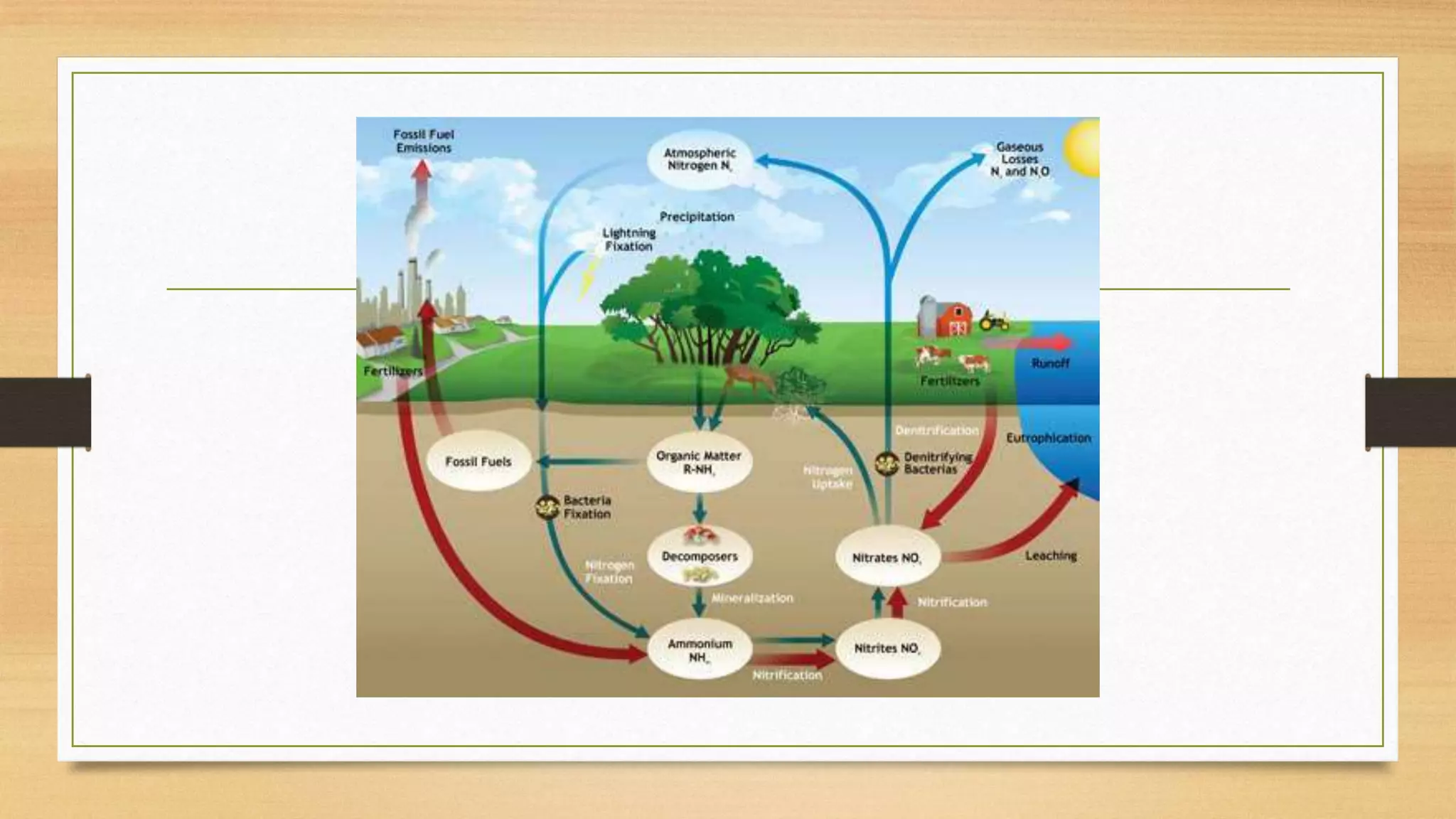 Pencemaran lingkungan sebagai gangguan daur biogeokimia | PPTX