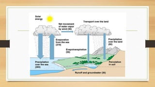 Pencemaran lingkungan sebagai gangguan daur biogeokimia | PPTX