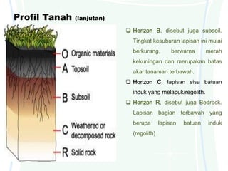 Pencemaran tanah | PPT