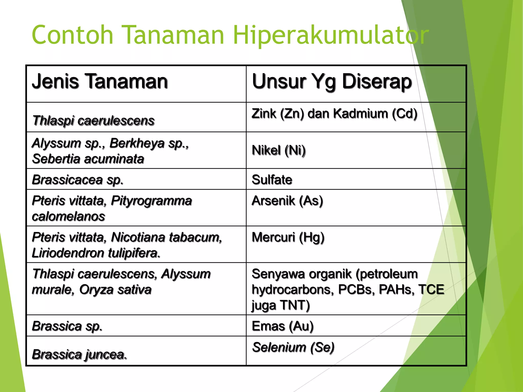 Pencemaran_Tanah_ppt.ppt
