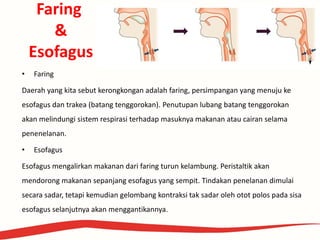 Sistem Pencernaan | PPTX