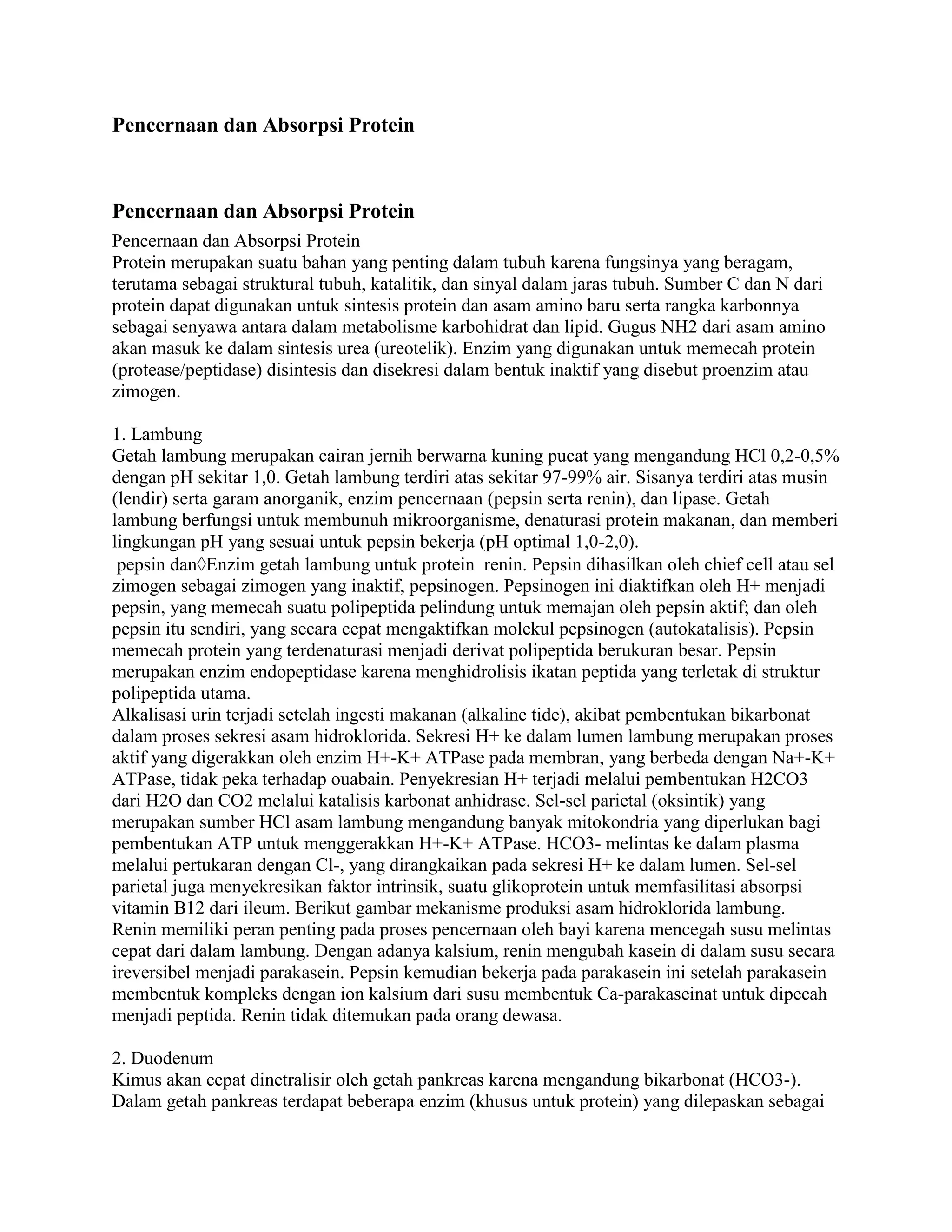 Pencernaan dan absorpsi protein | DOCX