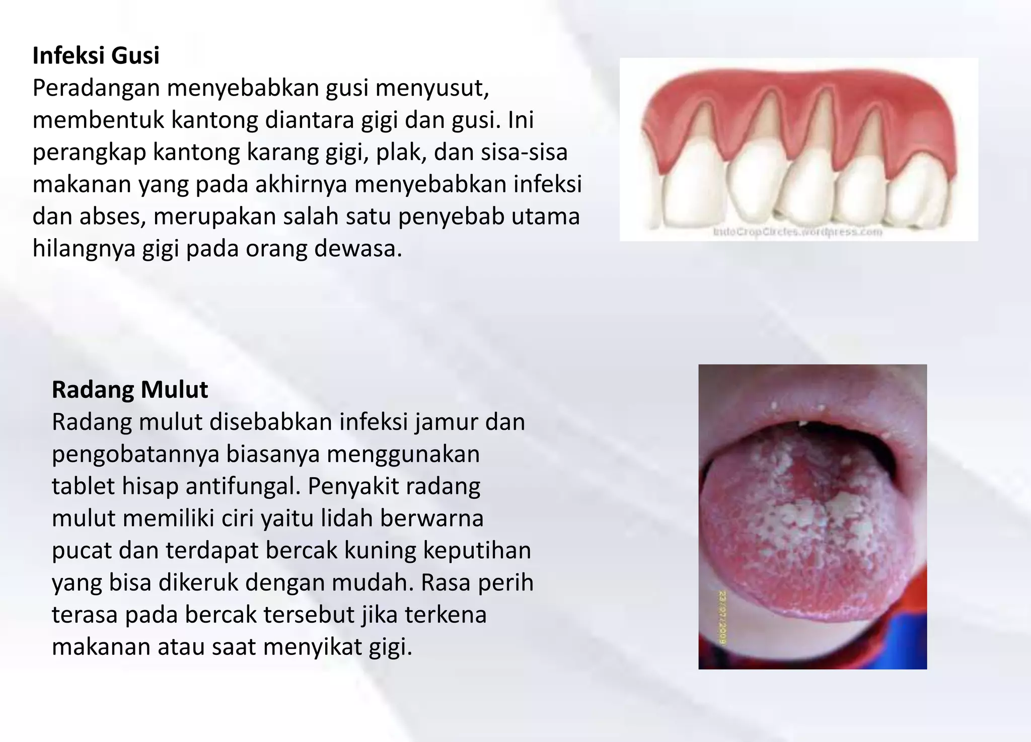 BIOLOGI: Pencernaan di rongga mulut | PPTX