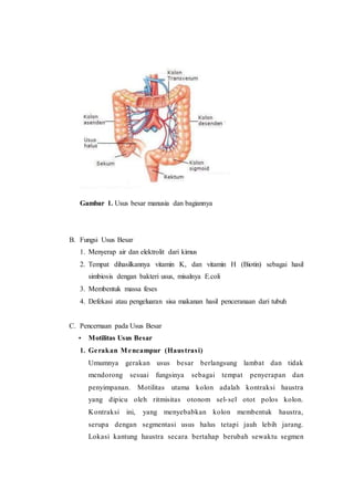 Pencernaan di usus besar | PDF