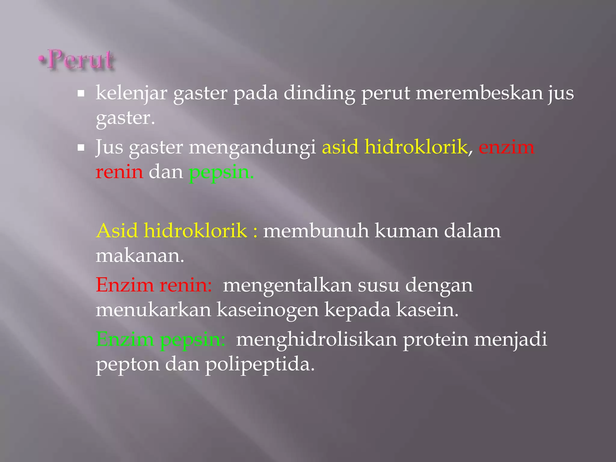 Pencernaan dalam Perut | PPTX