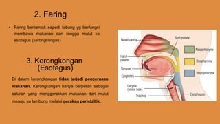 PENCERNAAN MAKANAN.pptx