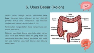 PENCERNAAN MAKANAN.pptx