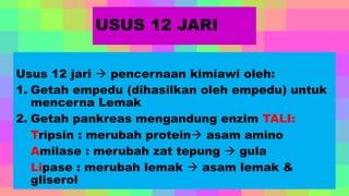 IPAS KELAS 5 ALAT PENCERNAAN PADA MANUSIA | PDF