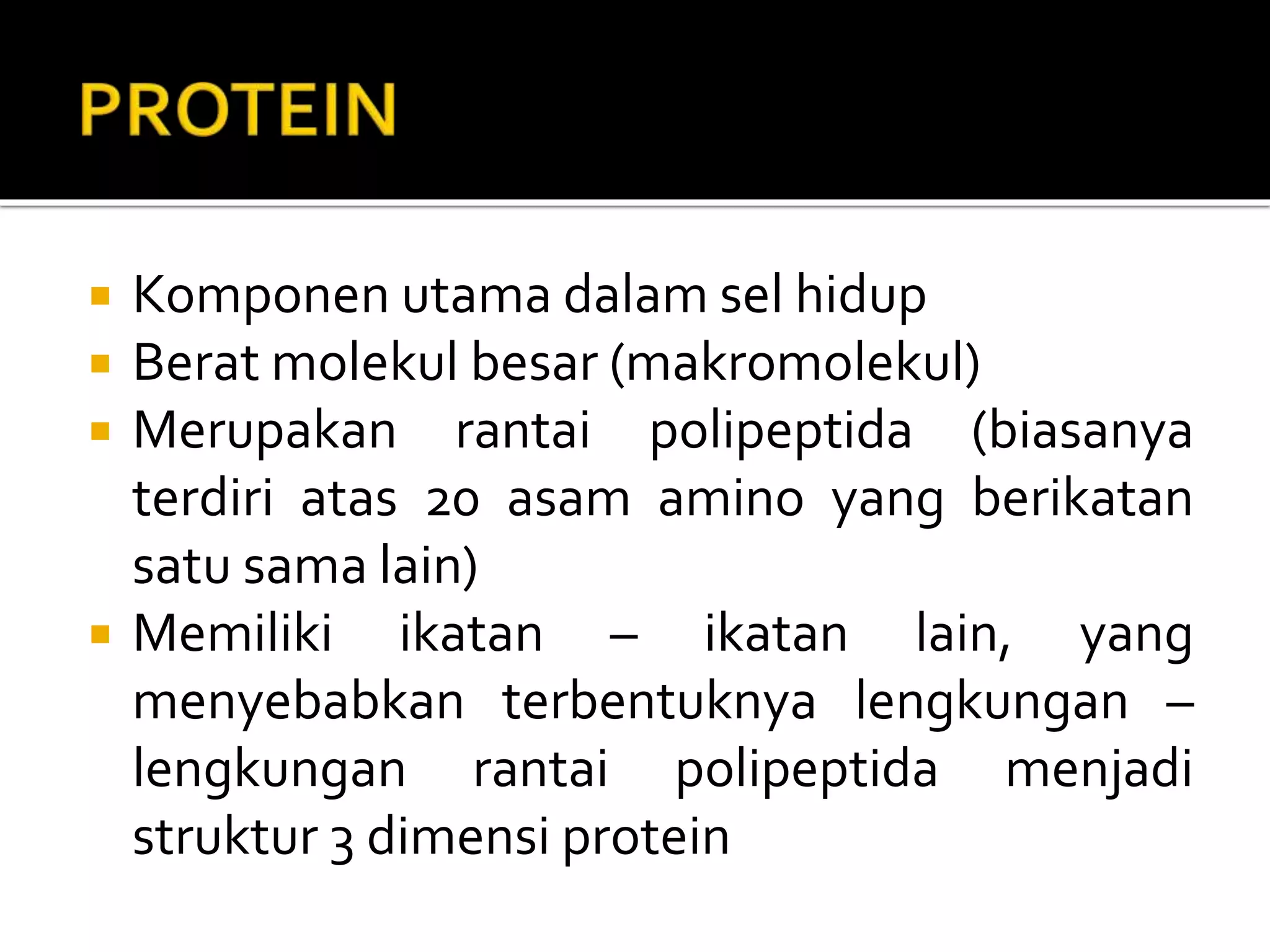 Pencernaan Protein | PPTX