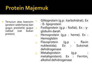 Pencernaan Protein | PPTX