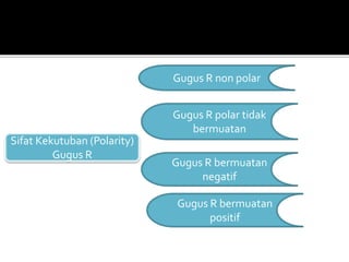 Pencernaan Protein | PPTX