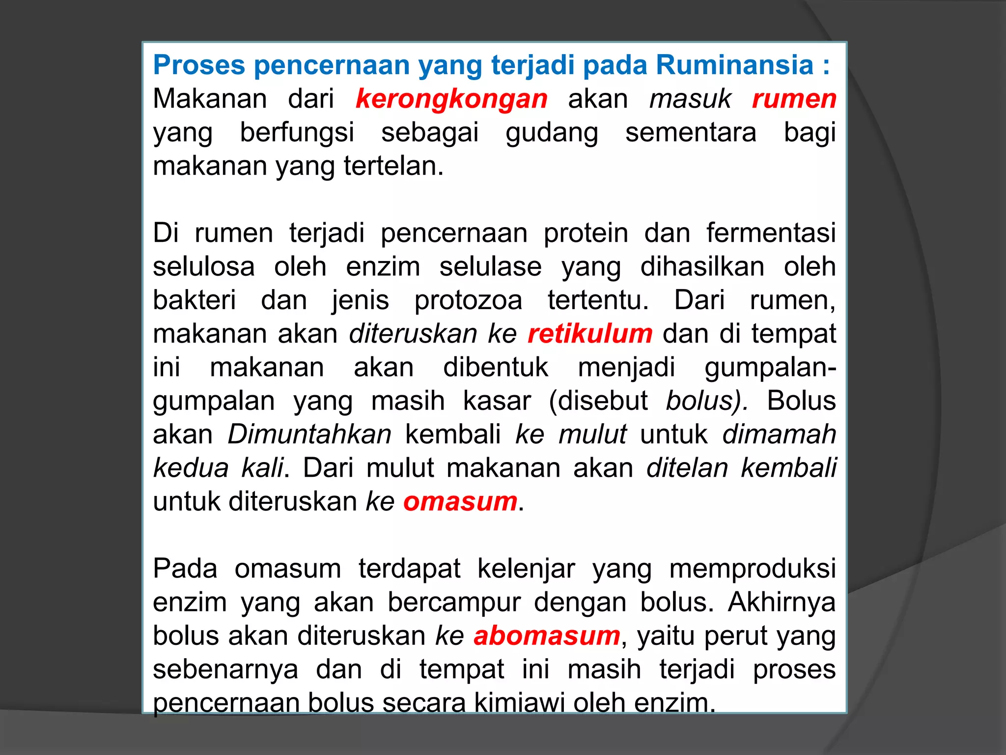 Pencernaan ruminansia | PPT