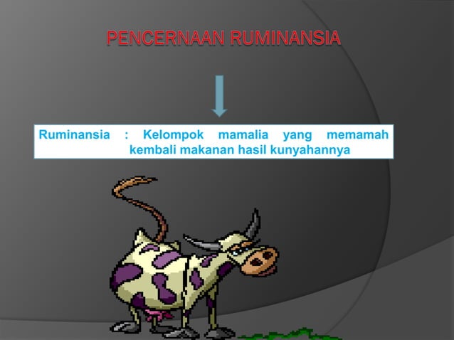 Pencernaan ruminansia | PPT