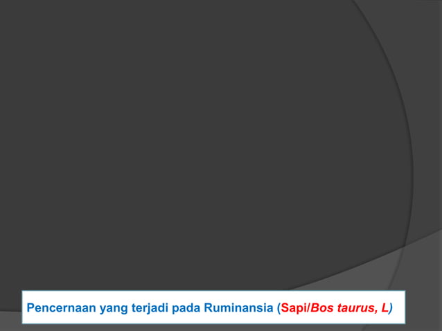 Pencernaan ruminansia | PPT