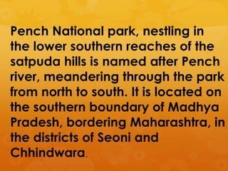 Pench National Park | PPTX