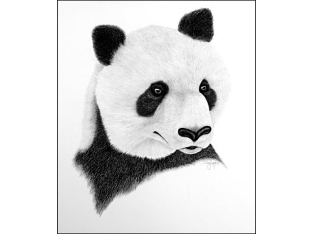 Mouth Art - Pencil Drawings by Doug Landis | PPS