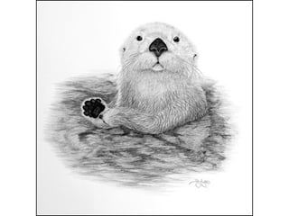 Mouth Art - Pencil Drawings by Doug Landis | PPS