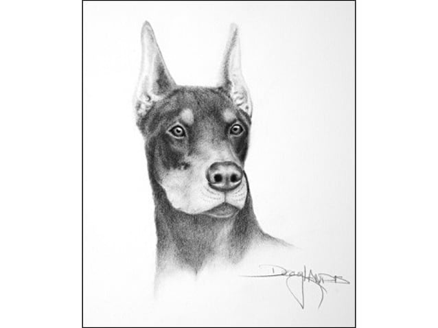Mouth Art - Pencil Drawings by Doug Landis | PPS
