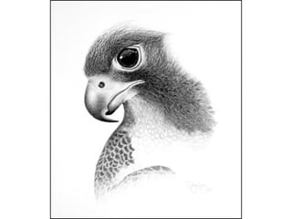 Mouth Art - Pencil Drawings by Doug Landis | PPS