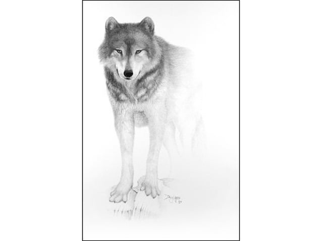 Mouth Art - Pencil Drawings by Doug Landis | PPS