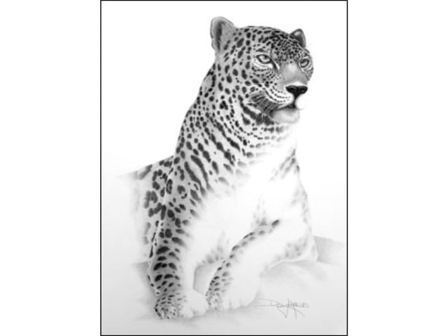 Mouth Art - Pencil Drawings by Doug Landis | PPS